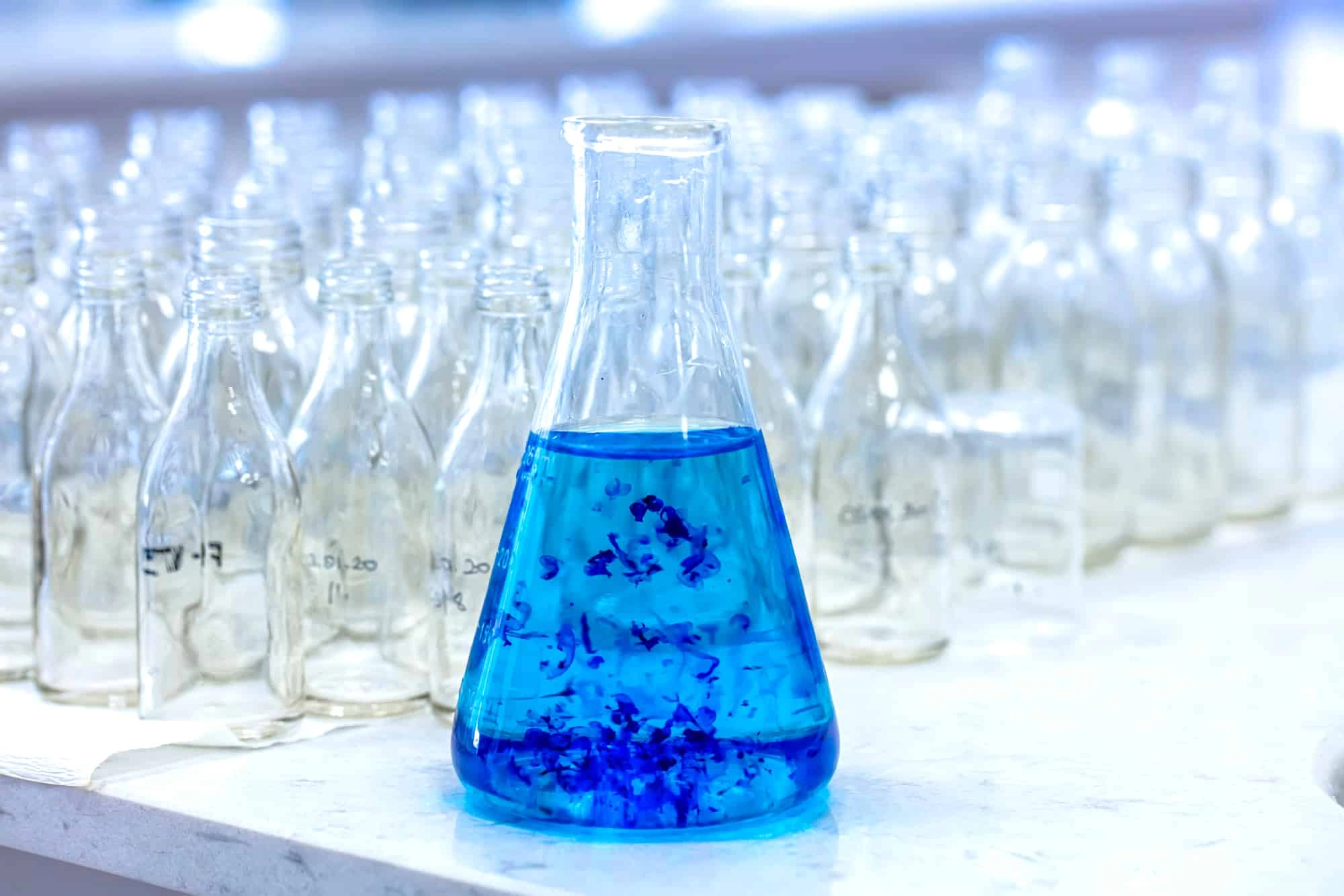 Methylene Blue: Versatile Applications in Science – mitolab